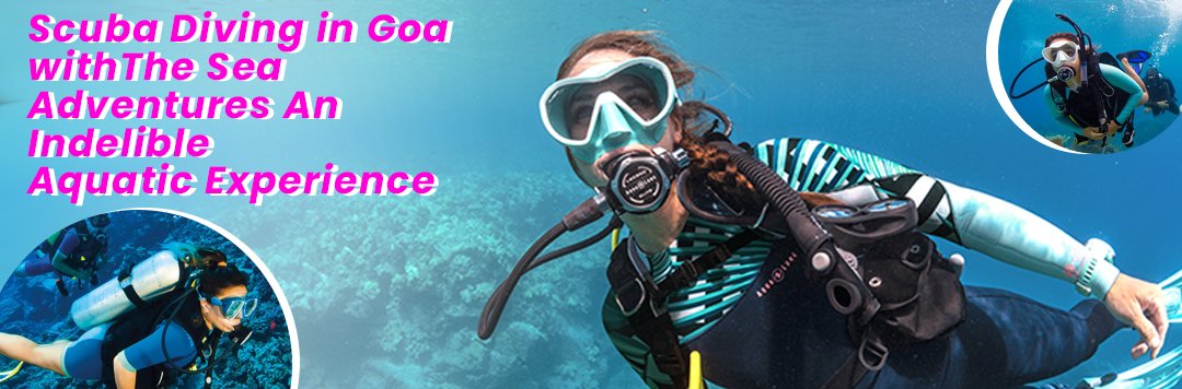 Scuba Diving in Goa with The Sea Adventures An Indelible Aquatic ...